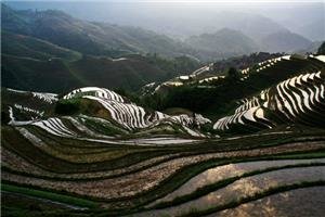The Longji Rice Terraced Fields, Get Travel Tips from Local Experts