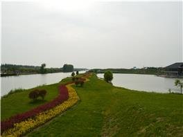 Shanghai Chongming Island, the Third Largest Island in China