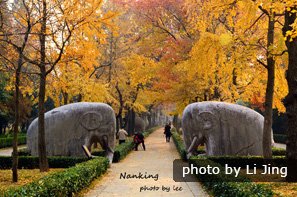 Nanjing Travel Guide, Ancient Southern Capital Travel Tips