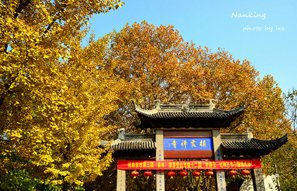 Best Things to Do and Places to Go in Shanghai
