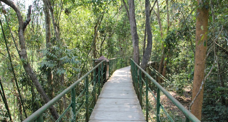 Wild Elephant Valley, Xishuangbanna: a Natural Paradise