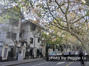 The Former French Concession, Shanghai