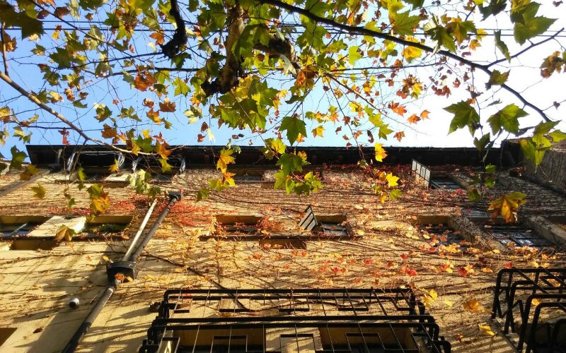 Guangdong Province Weather Information