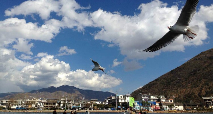 Dali Attractions, Top 7 Attractions to See in Dali (Yunnan)