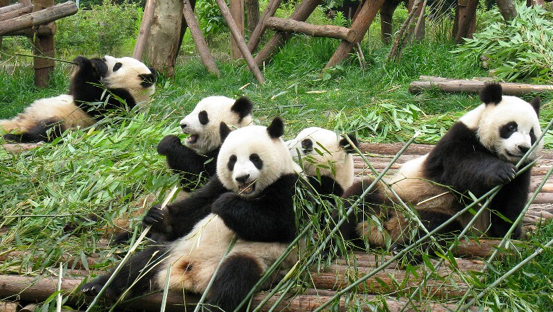 Top 7 Places To Visit In June In China – EJDHR