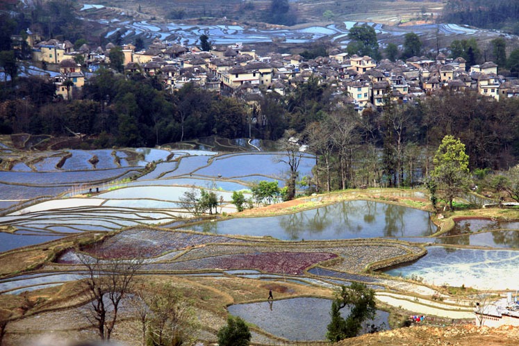 The Yuanyang Rice Terraces, Best Times to Visit