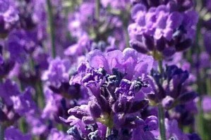 Beijing Attractions, Top Things to Do in Beijing