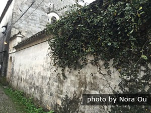 Bishan Village, Huangshan - a Rural Utopia