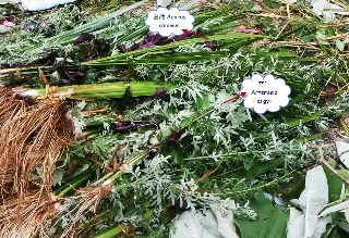 5 Popular Dragon Boat Festival Traditions, Duanwujie Customs