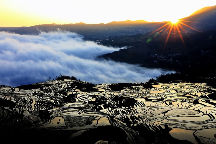 The Yuanyang Rice Terraces, Best Times to Visit