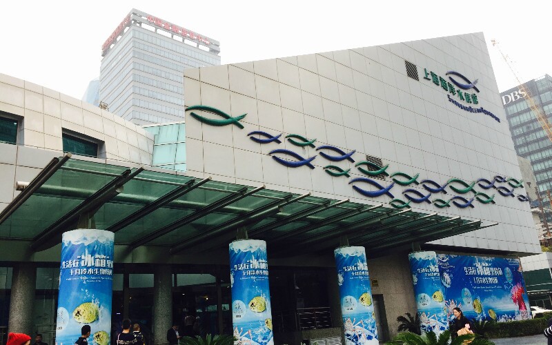 Shanghai Museum — a Modern Museum with Precious Chinese Cultural Relics