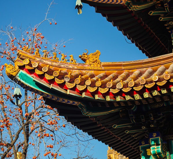 Beijing Spotlight Experiences, Beijing Tour Highlights