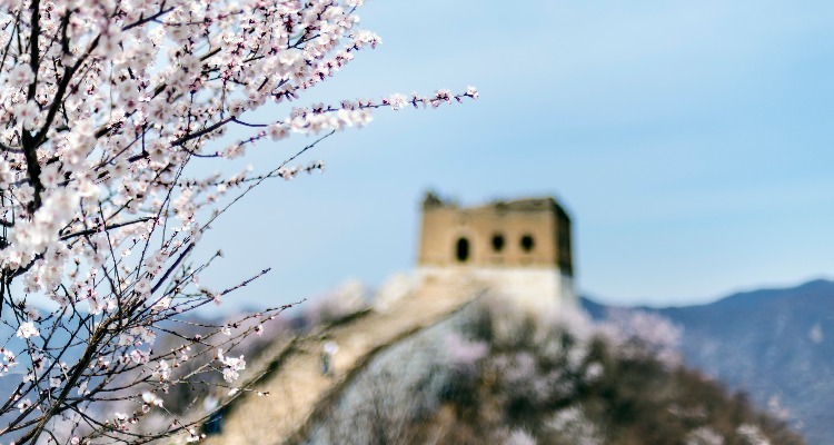 The Best Times to Visit the Great Wall | Best Scenery, Fewer Crowds