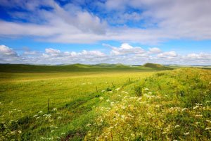 Hulunbuir Grasslands - Hulunbuir Travel Guide