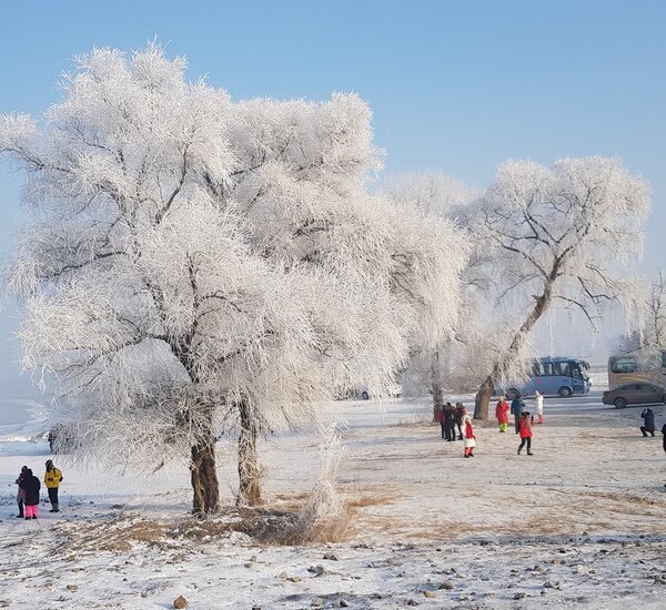 Harbin China Weather Forecast Cold Weather Boosts Warm Ties