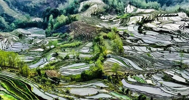 How to Plan a Trip to Kunming 2026: Itinerary, Hotels. Transport