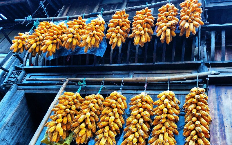 Popular Guiyang Food, Delicious Dishes in Guiyang City