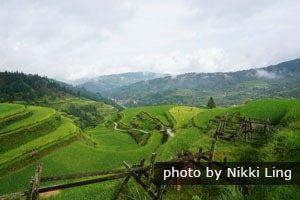 Kaili Travel Guide, Ethnic Culture, Transportation, Cuisine