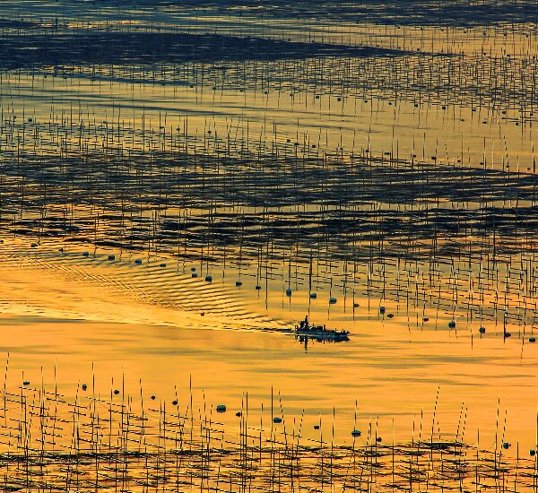 9-Day Yongding Hakka Village and Xiapu Mudflat Tour