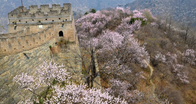 Mutianyu Great Wall: Unique Highlights and How to Visit