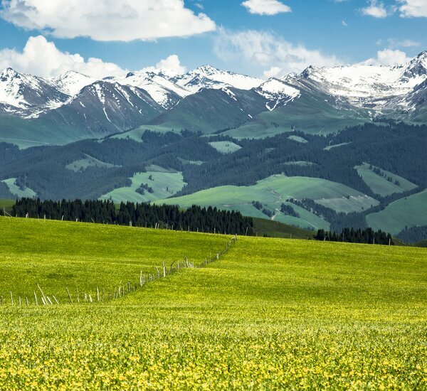 Xinjiang Travel Guide: Explore the Silk Road & West China