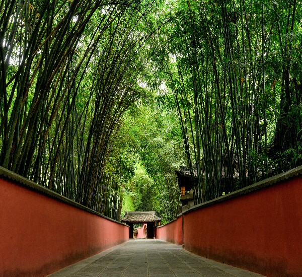 Chengdu Spotlight Experiences, Chengdu Tour Highlights