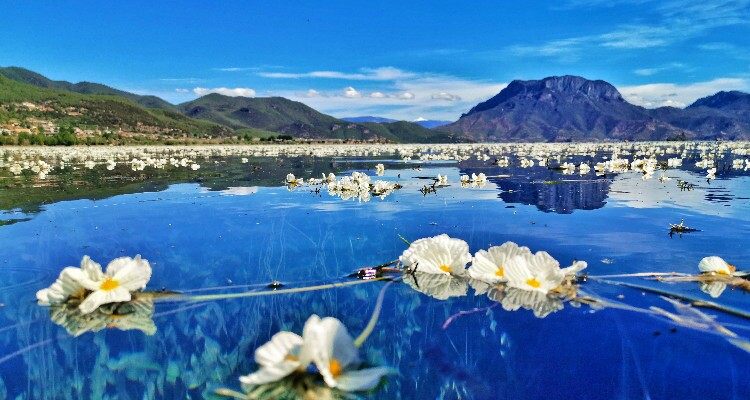 Lijiang Travel Guide - Attractions, Best Times to Go, How to Plan
