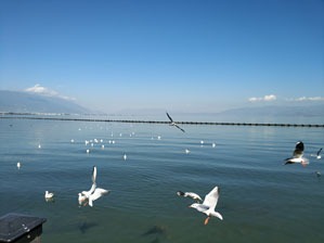 Dali Erhai Lake: What to See and the Best Way to Visit
