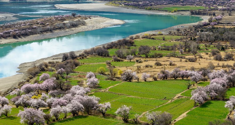 Spring in China: Top Places to Go, Weather, Travel Tips