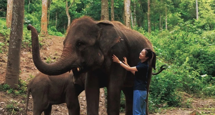 Wild Elephant Valley, Xishuangbanna: a Natural Paradise