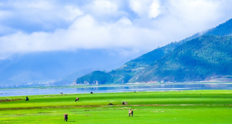 How to Plan a trip to Yunnan: Top Tips on All Trip Aspects