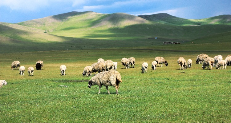 Hulunbuir Travel Guide: Things to Do, Travel Tips