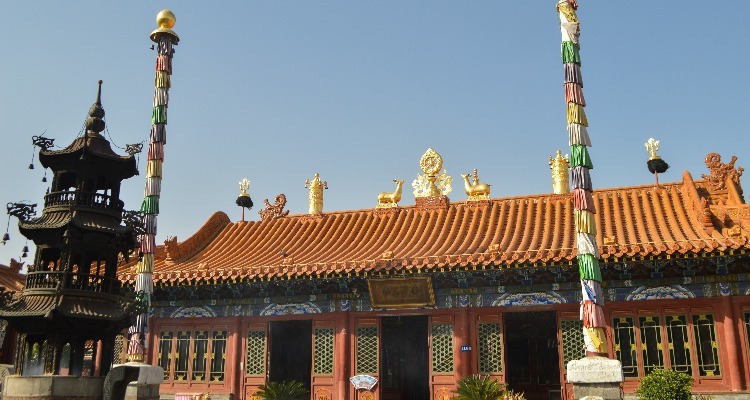 Hohhot Travel Guide: See the Capital of Inner Mongolia