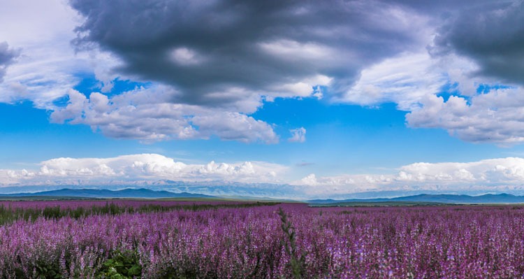 Ili Travel Guide: What to Do, Best Times to Visit, How to Get & Travel Tips