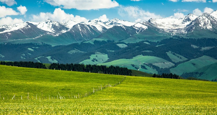 8-Day Xinjiang Tour with Ili River Valley