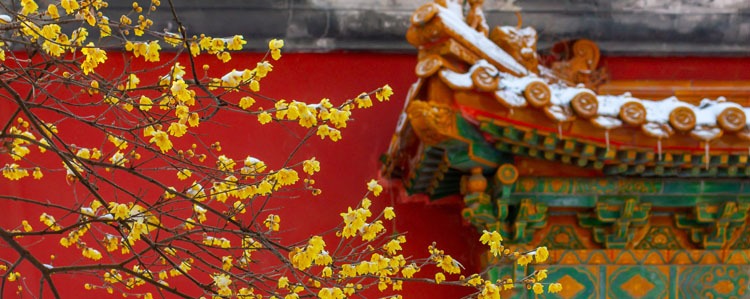 10 Facts about Puyi You Didn't Know, the Last Emperor of China