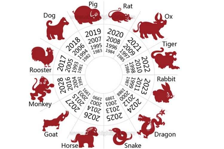 Chinese Zodiac: 12 Animal Signs and 2025 Horoscope Predictions