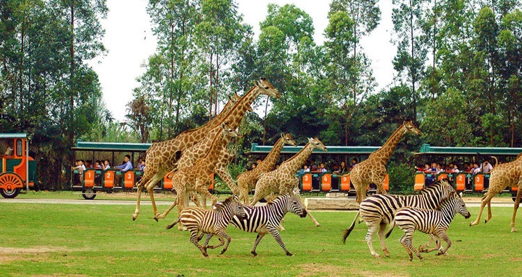 China's Top 9 Theme Parks, Top Amusement Parks in China