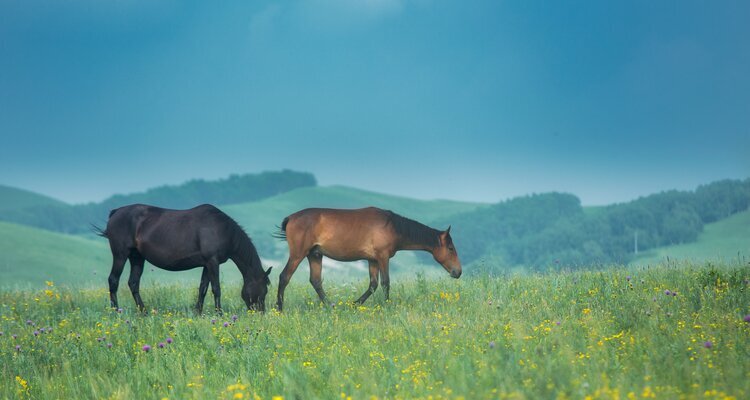 Xinjiang Weather in May: First-Timer Travel Tips