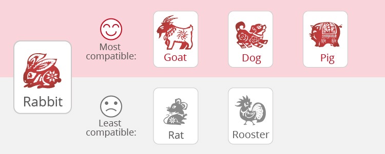 Year of the Rabbit: Horoscope Predictions for 2026
