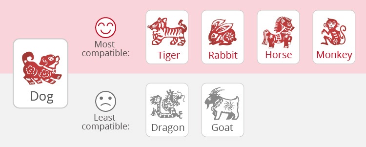 Chinese Zodiac Compatibility: Chart and Calculator