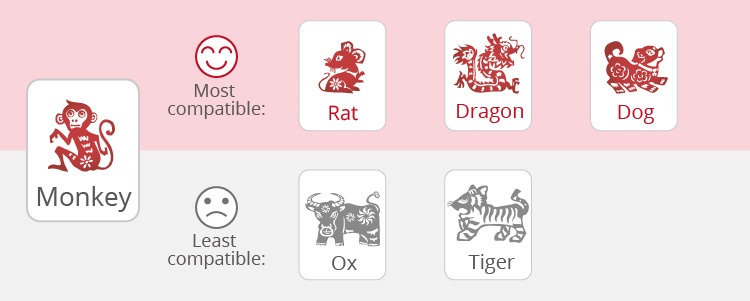 Year of the Monkey: Horoscope Predictions 2026