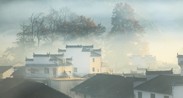 Wuyuan Travel Guide, Attractions, Hotel, How to Get