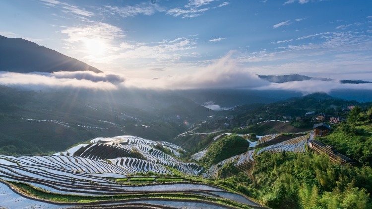Longji Rice Terraces: Photography, Hiking, Festivals