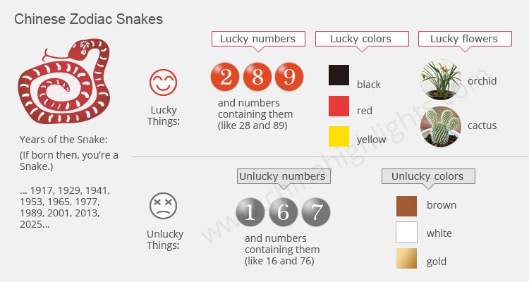 Year of the Snake: Personality, Fortune 2023, Love...