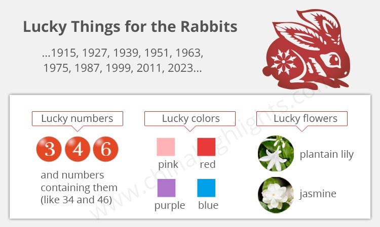 Year of the Rabbit: Horoscope Predictions for 2026
