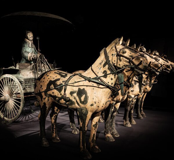 Terracotta Army Horses