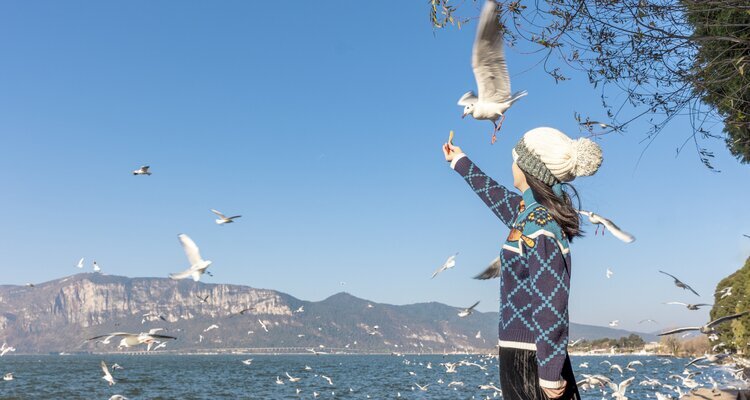 Yunnan Weather in November: Best Places to Go, Crowds, Cost (2026)