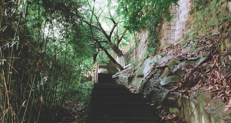 Top 4 City Walks in Chongqing: A Local's Guide