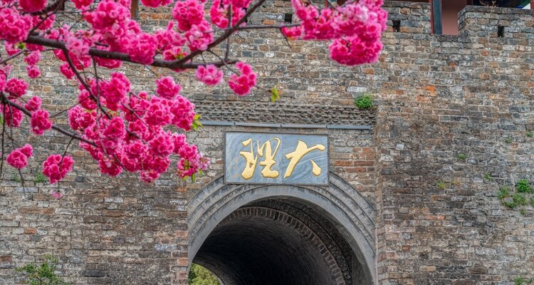 9-Day Yunnan Highlights with Spring Blossoms Tour
